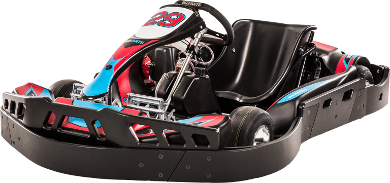 Petrol go karts for sale - BIZ Karts